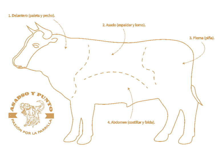 Carne y Cortes de Vacuno ⋆ Asadosypunto
